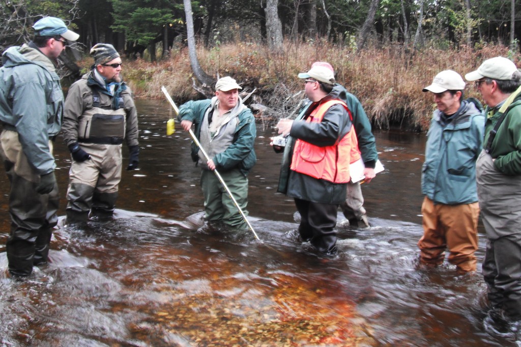 Brown Trout Redd Mapping | True North Trout